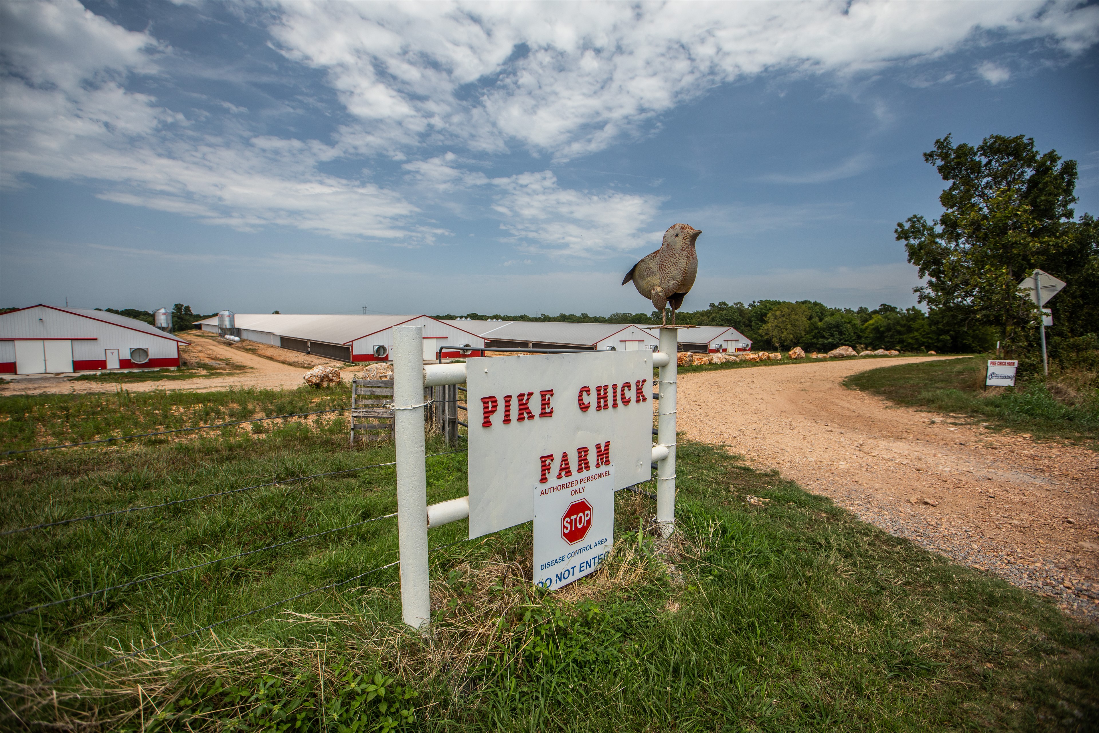 Locations Hub - Pike Chicken Farm