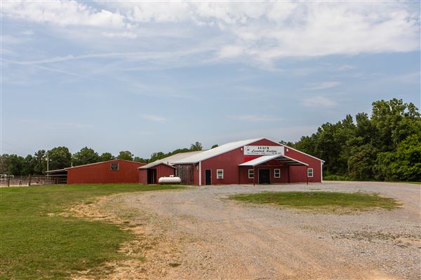 Locations Hub - Leach Livestock Auction