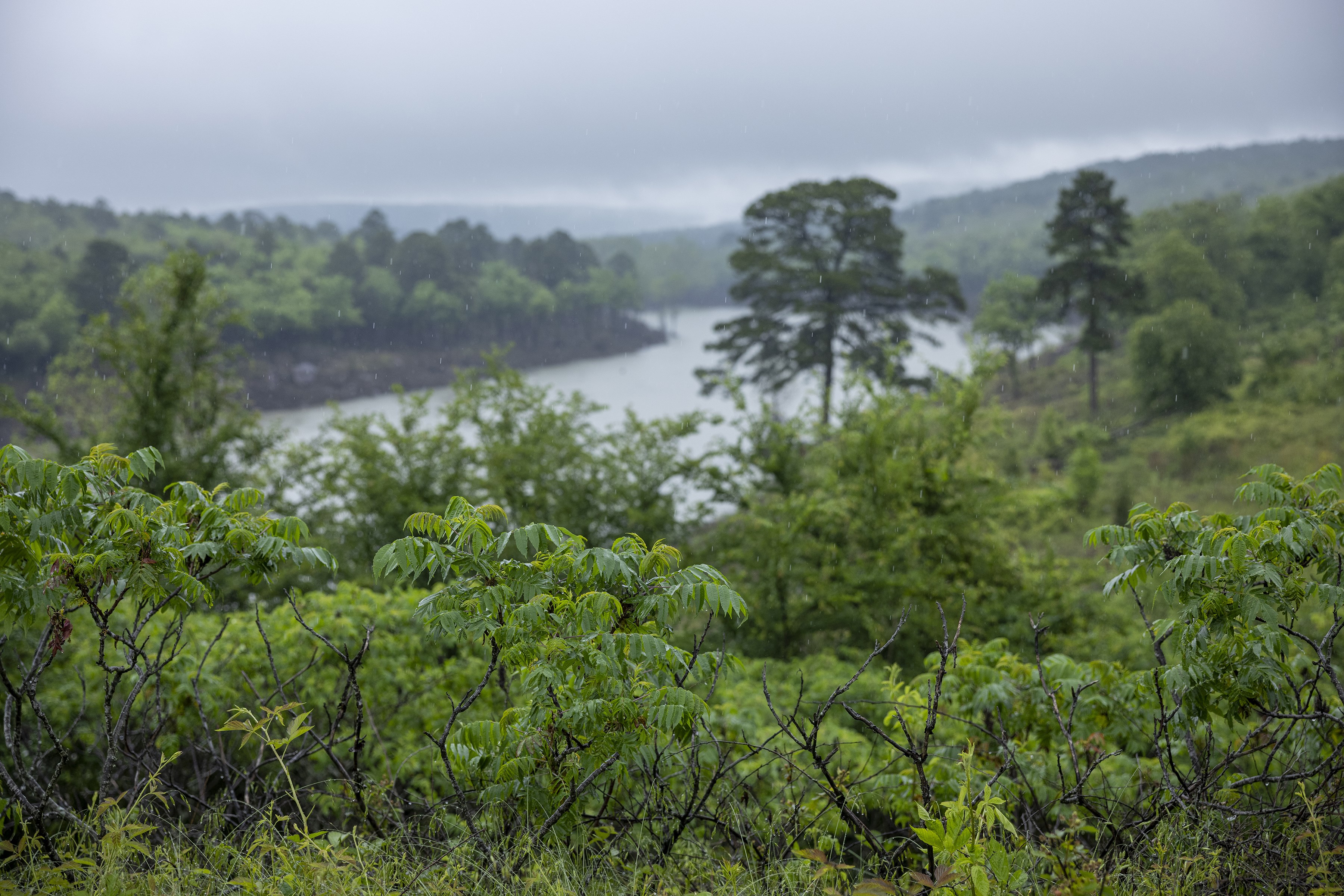 Locations Hub - Cherokee Wildlife Refuge - River View